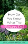 How Do We Know What The Flowers Do?