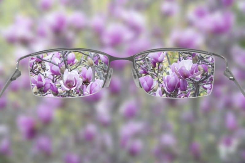 Body Coaching with Chrysanthemum Flower Essence