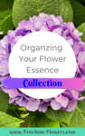 Tips and Tricks for Organaizing Your Flower Essence Collection